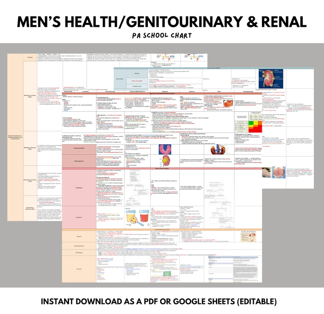 PA Men's Health/genitourinary & Renal Chart - Etsy