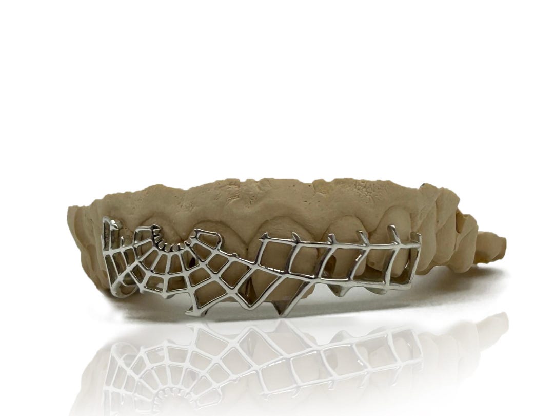 Spider Web Grillz | Custom Silver Grill | Handmade Web Grill ...