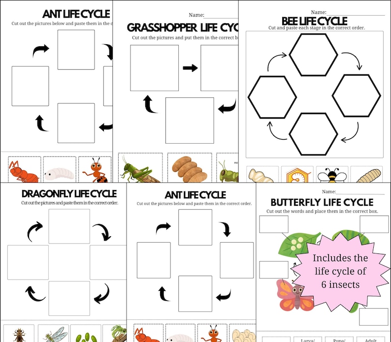Insect & Bug Activities for Kids Printable Bundle | Spring Learning ...