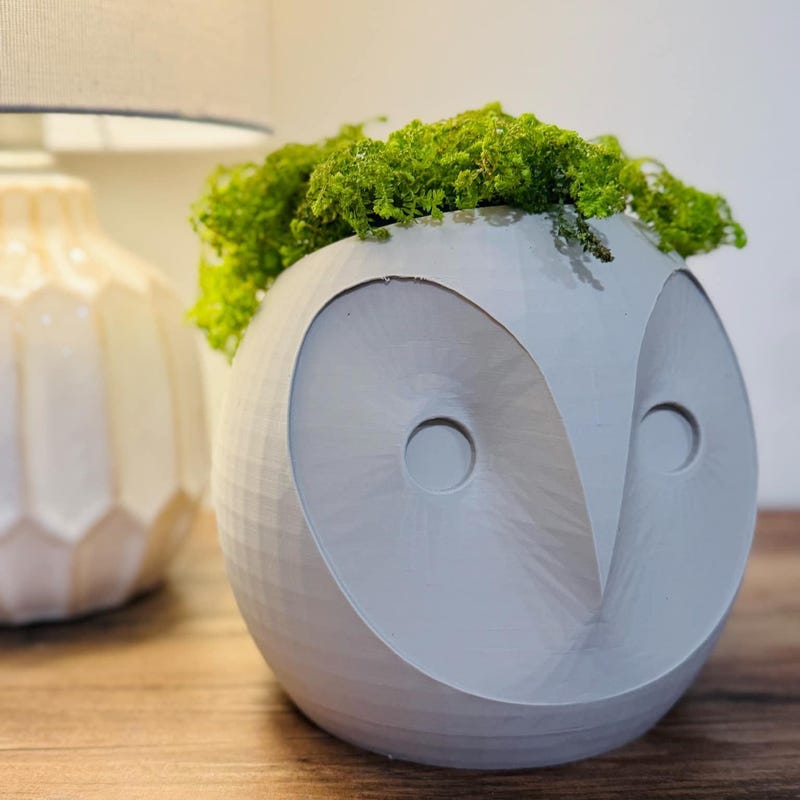 Owl Planter - Etsy