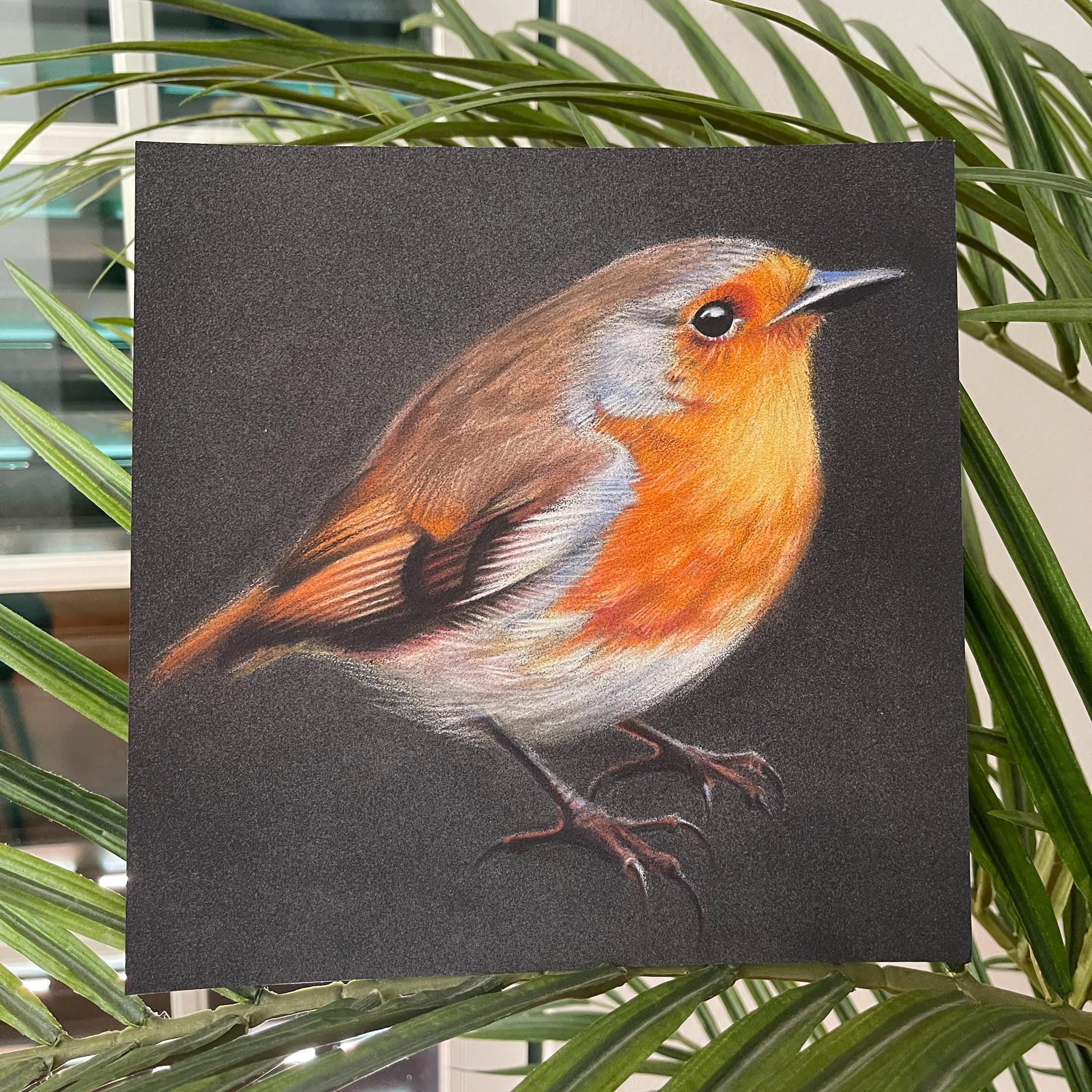 Bird Drawing in Colored Pencils, Custom Bird Portrait, Handmade Art ...