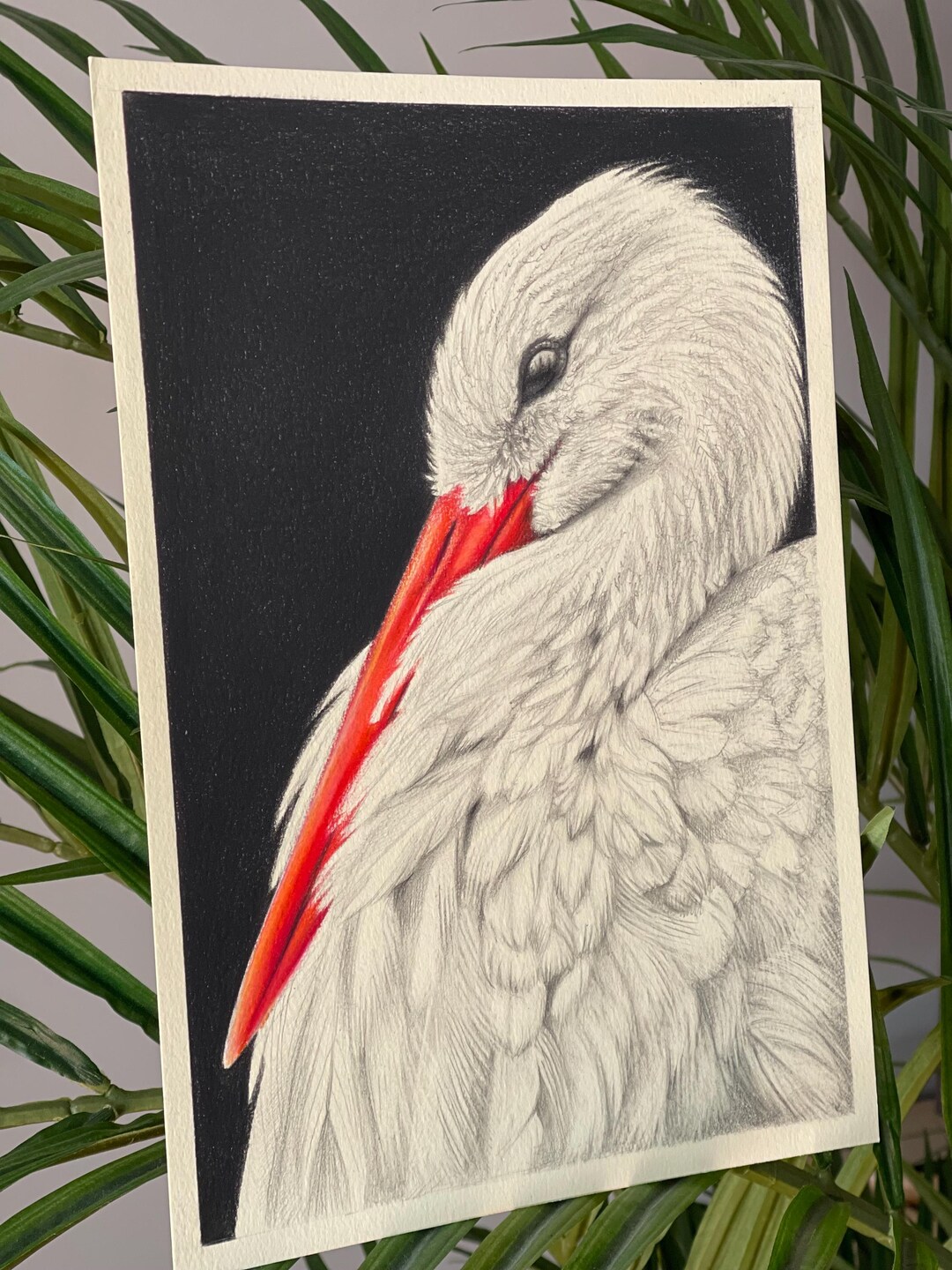 Stork Drawing in Colored Pencils, Custom Bird Portrait, Handmade Art ...