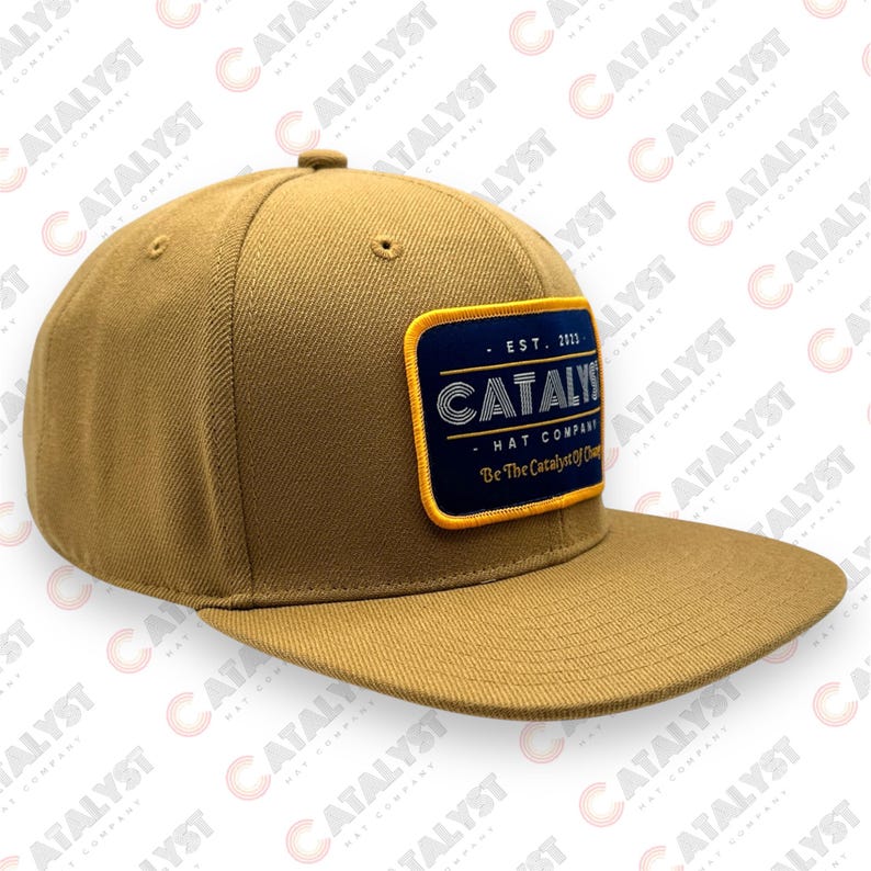 Catalyst be the Catalyst of Change 6 Panel Snapback Hat - Etsy