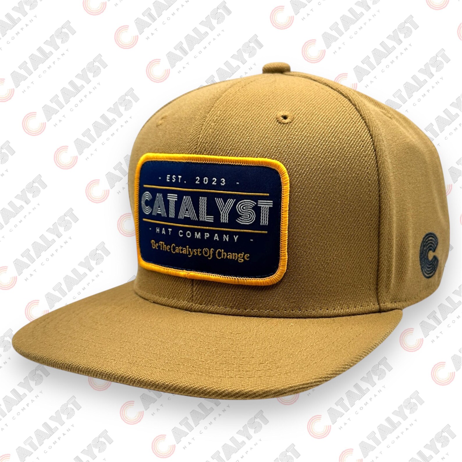 Catalyst be the Catalyst of Change 6 Panel Snapback Hat - Etsy
