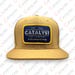 Catalyst be the Catalyst of Change 6 Panel Snapback Hat - Etsy