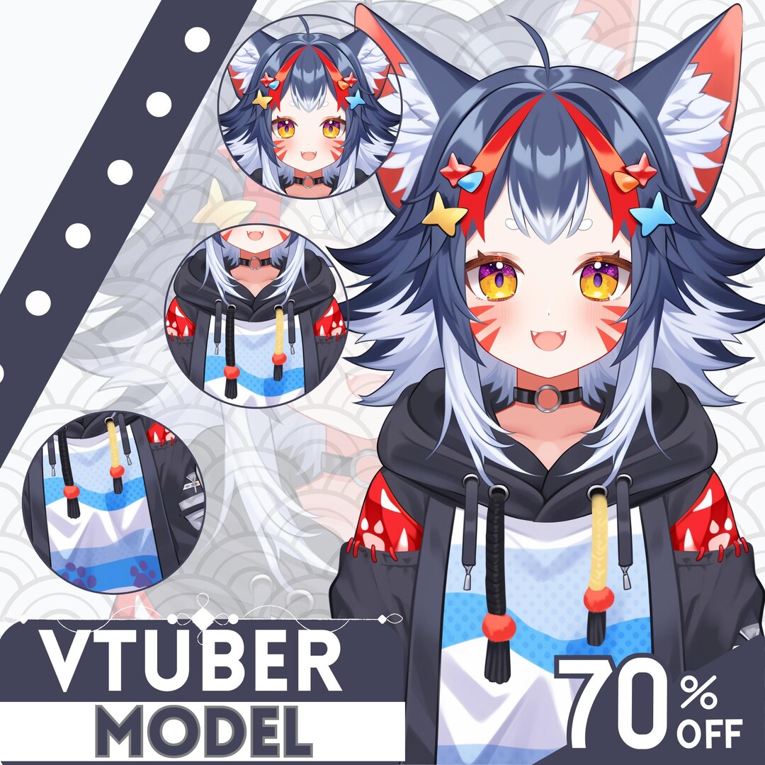 Modelo VTuber Live2D personalizado / Comisión y montaje de VTuber ...