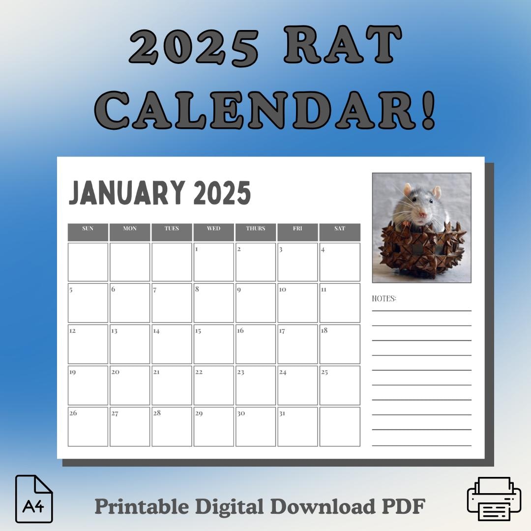 2025 Printable Rat Calendar PDF File A4 Size Digital Download - Etsy