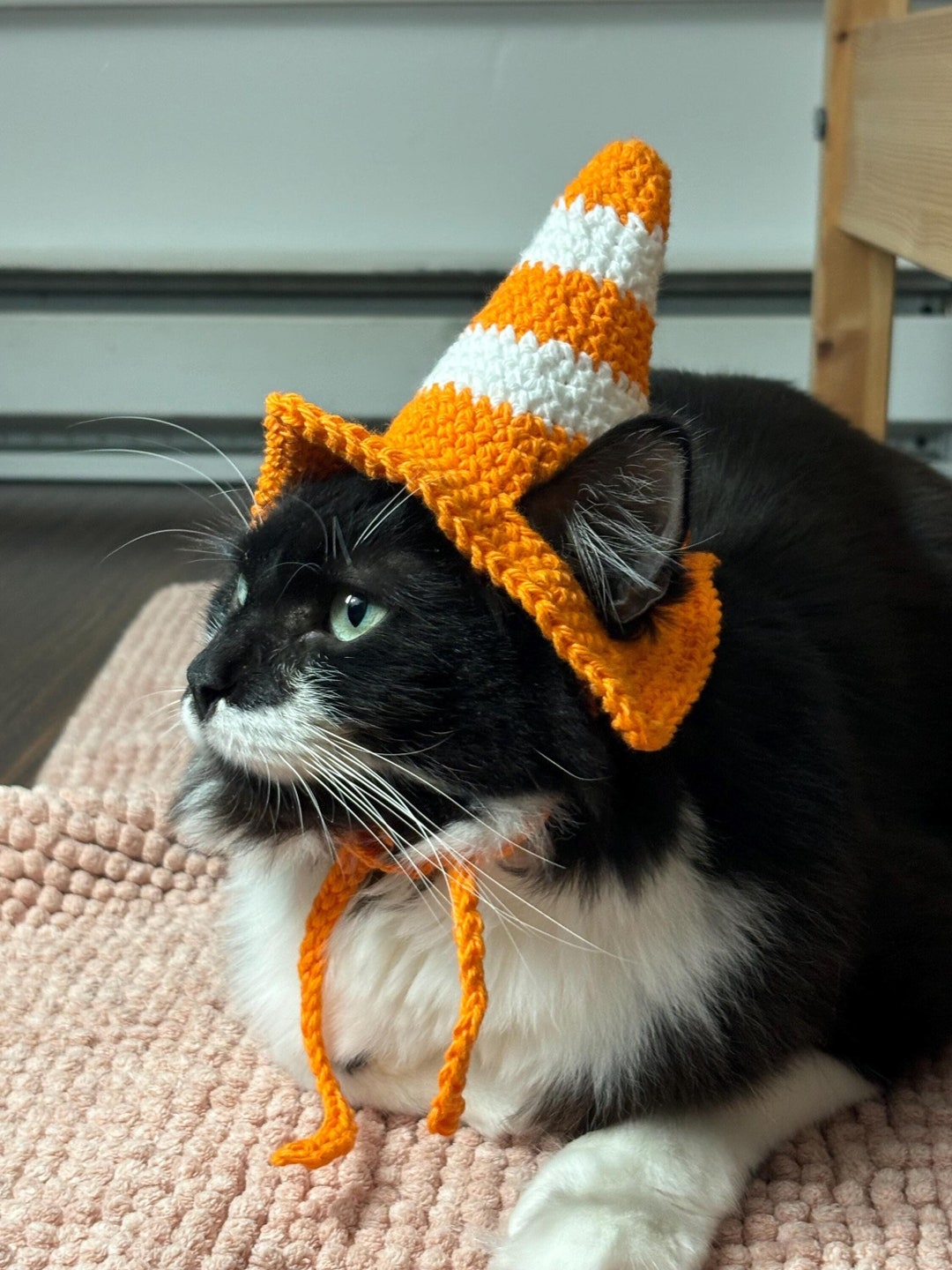 CROCHET PATTERN Crochet Traffic Cone Cat Hat, Cute Pet Hat Crochet ...