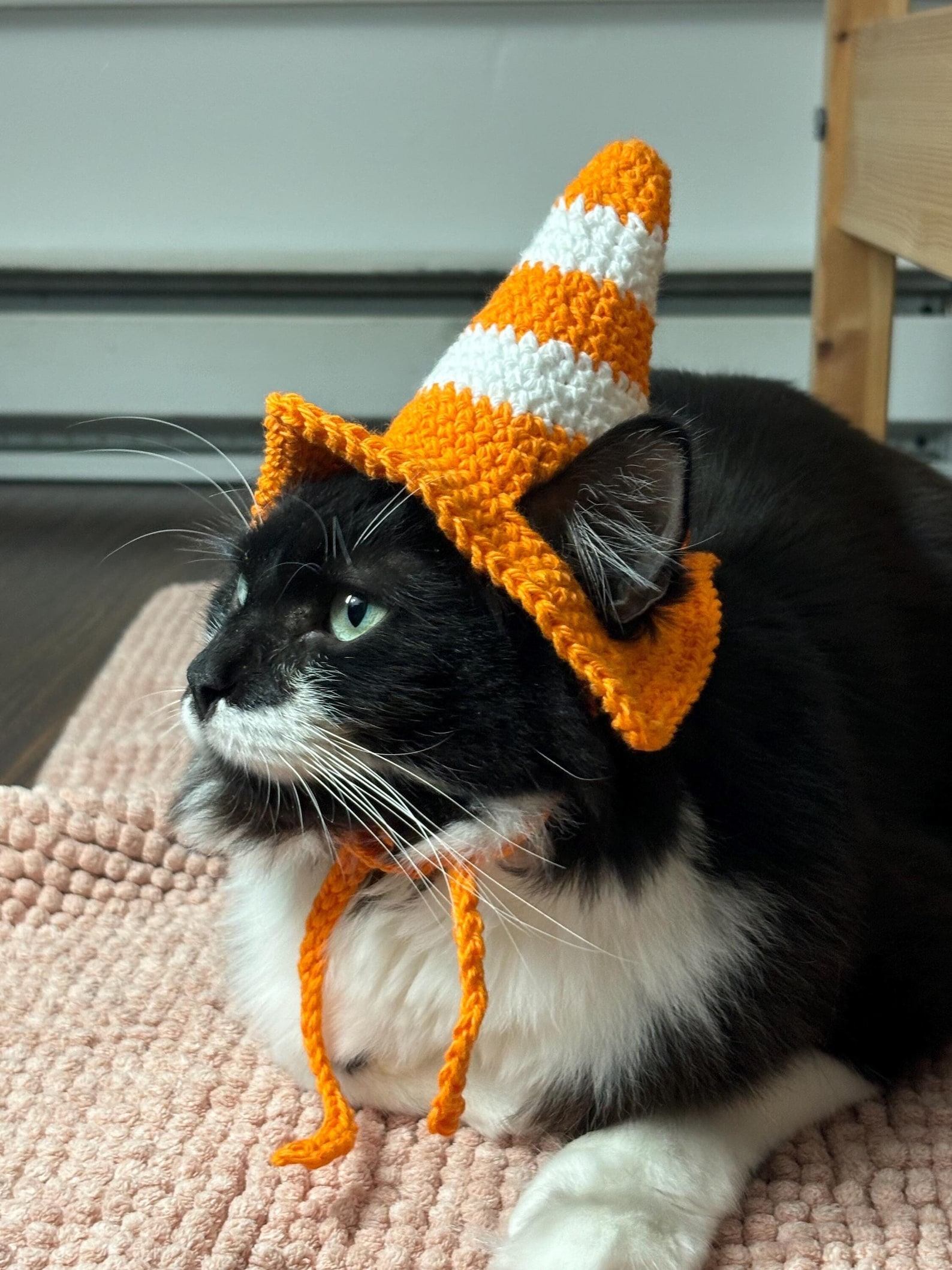 CROCHET PATTERN Crochet Traffic Cone Cat Hat, Cute Pet Hat Crochet ...
