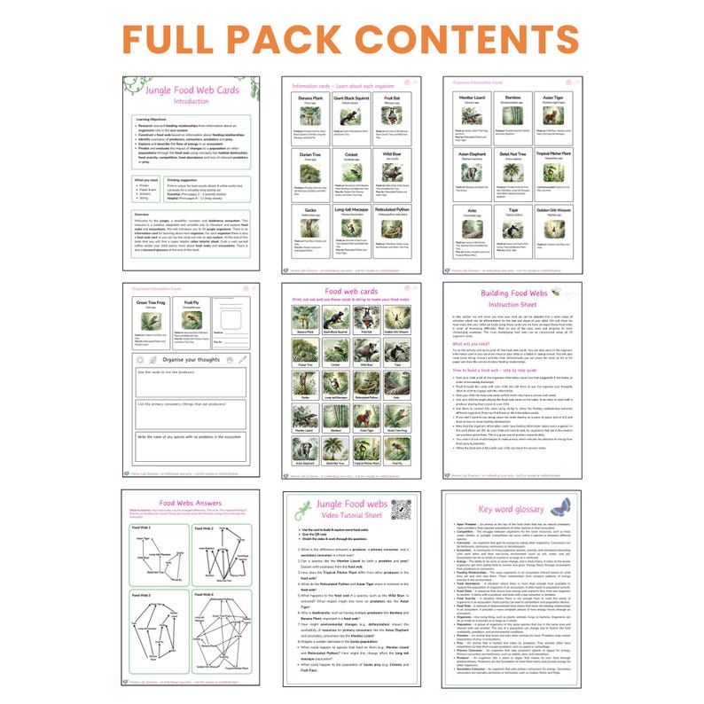 Build a Food Web - Jungle Ecology Study - Homeschooling Biology ...