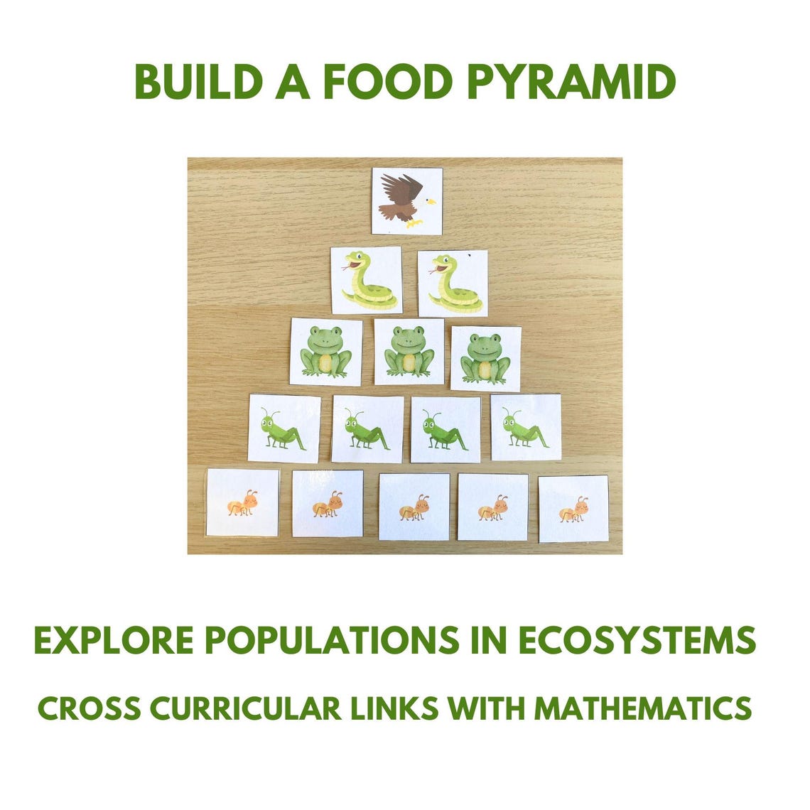 Ponds Study Pack - Nature Learning Activities - Montessori Teaching ...