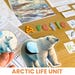 Exploring Ecosystems Unit Study - Nature Learning Bundle - Busy Book ...