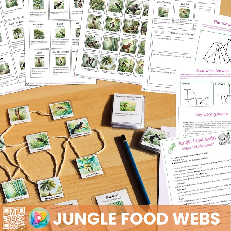 Build a Food Web - Jungle Ecology Study - Homeschooling Biology ...