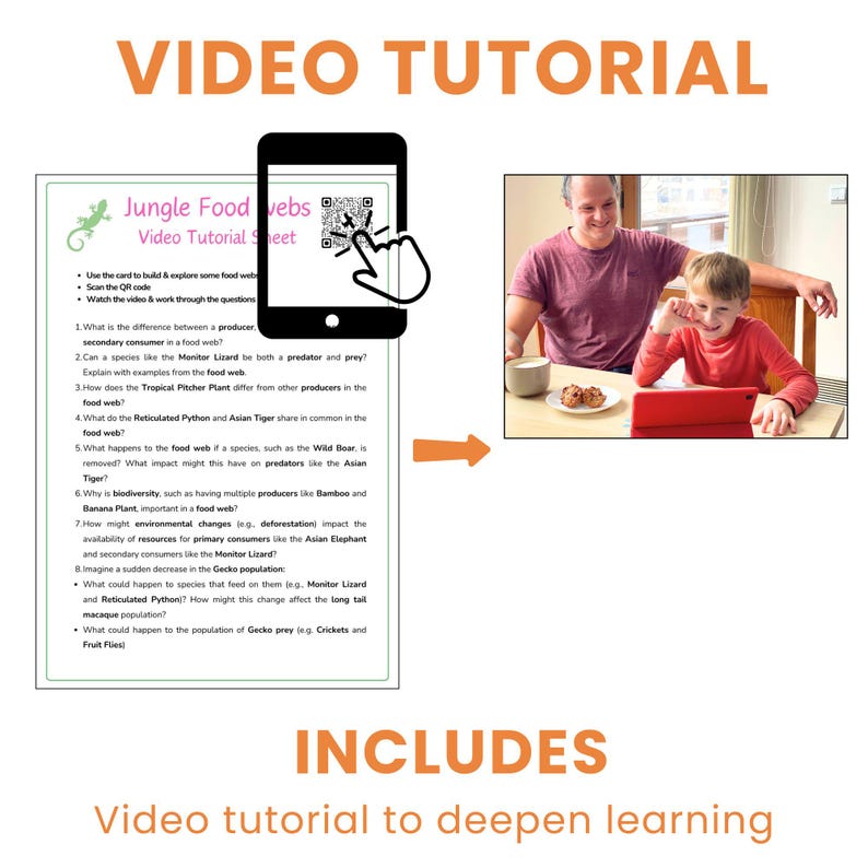 Build a Food Web - Jungle Ecology Study - Homeschooling Biology ...