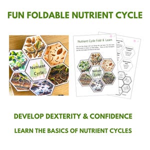 Ponds Study Pack - Nature Learning Activities - Montessori Teaching ...