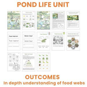 Exploring Ecosystems Unit Study - Nature Learning Bundle - Busy Book ...