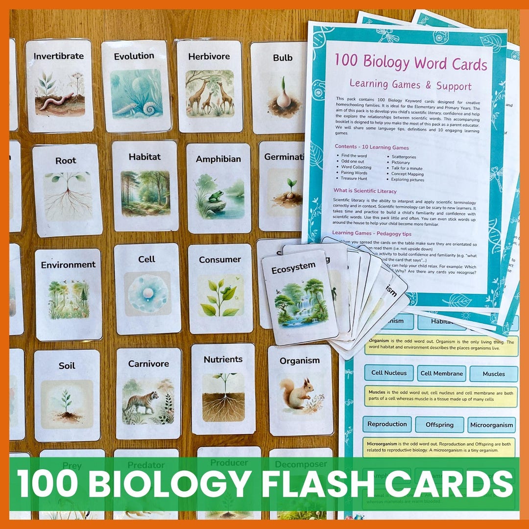 Biology Flash Cards - 100 Key Words - 5 - 12 Year Olds - Teacher ...