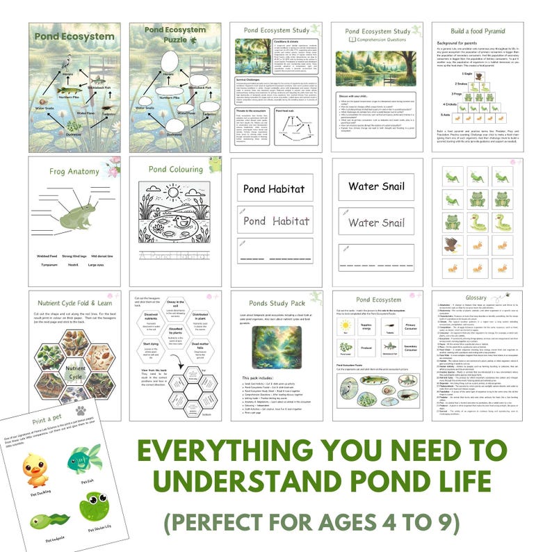 Ponds Study Pack - Nature Learning Activities - Montessori Teaching ...