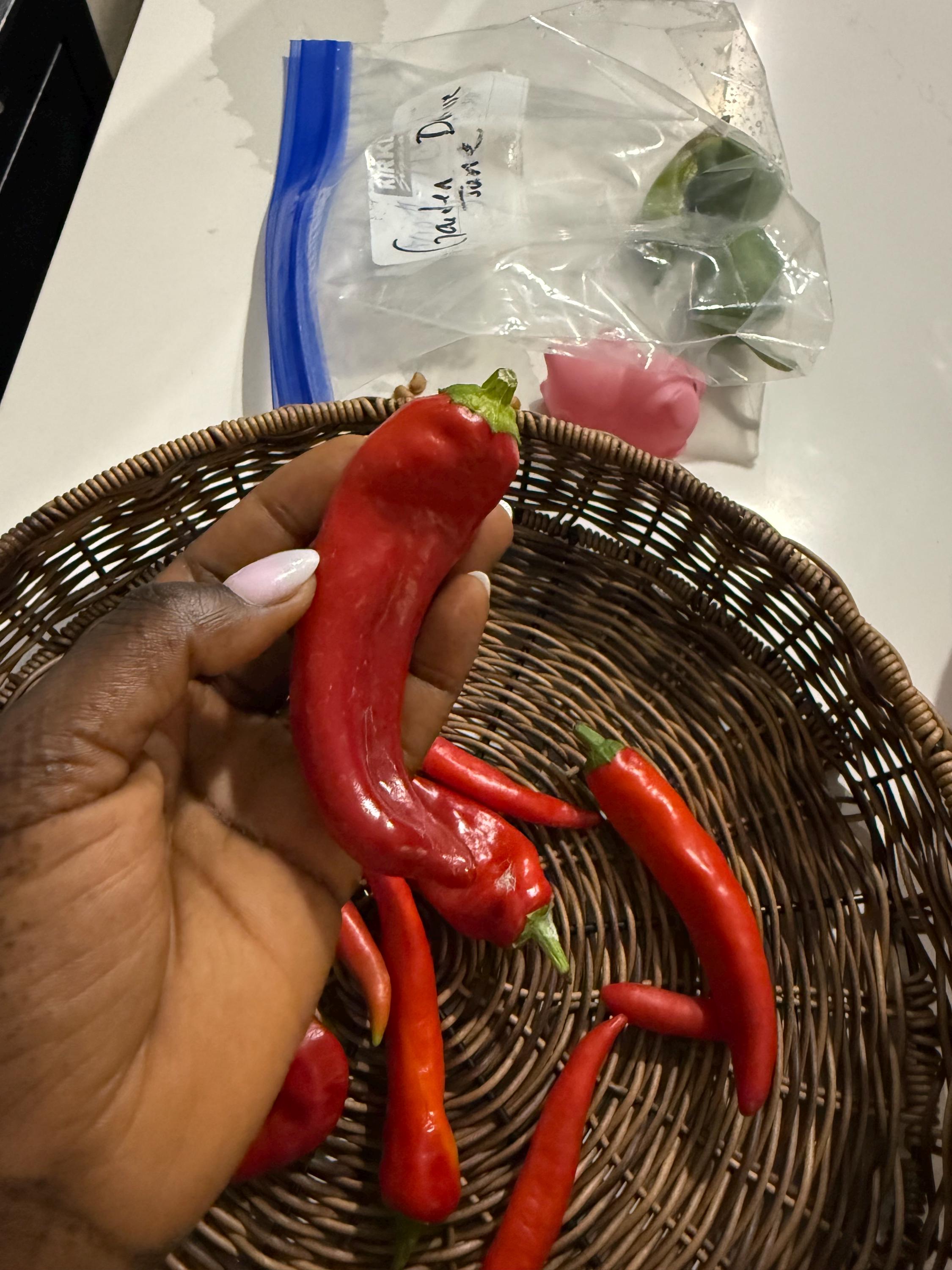 Shombo/bawa Seeds (nigerian Cayenne Pepper) - Etsy