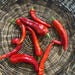 Shombo/bawa Seeds (nigerian Cayenne Pepper) - Etsy