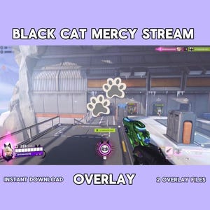 Black Cat Mercy Stream Overlay - Etsy