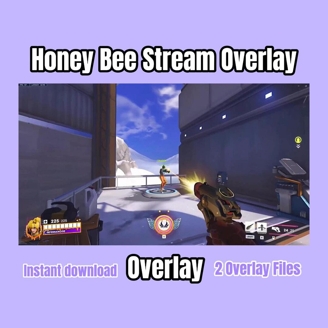 Honey Bee Mercy Overwatch Stream Overlay - Etsy
