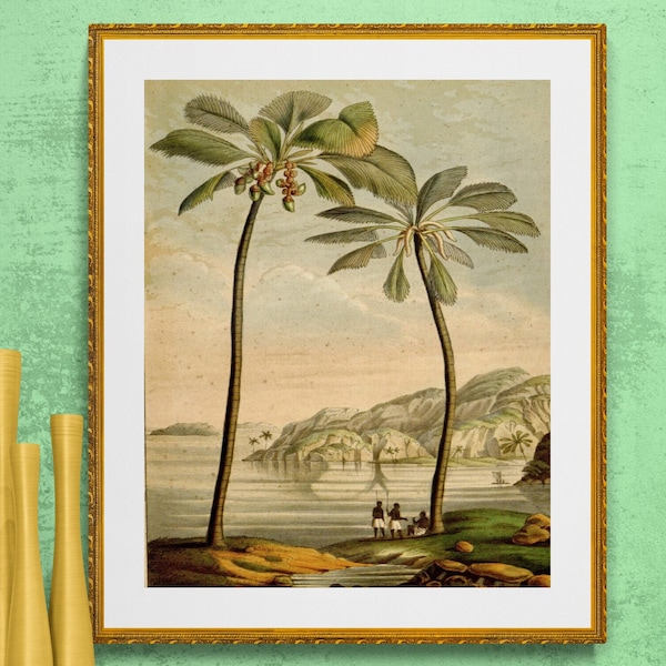 Coconut Tree Poster - Etsy