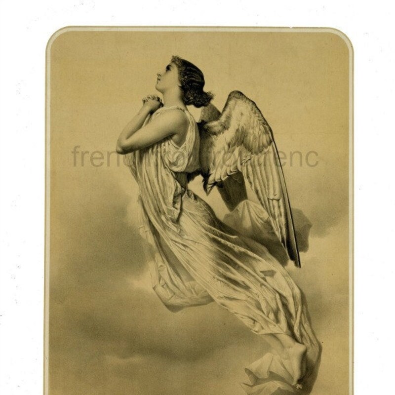 French Angel - Etsy