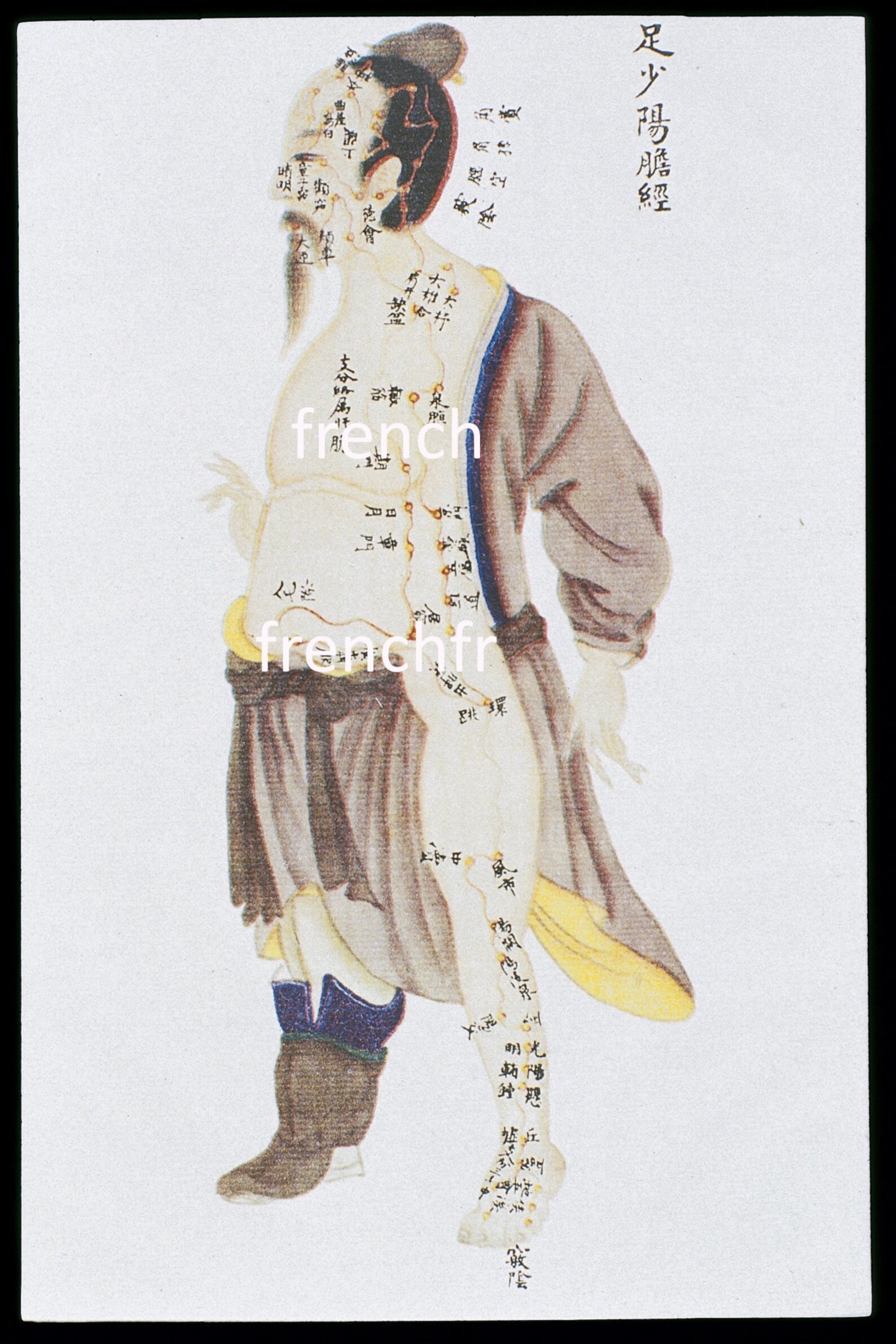 Antique Gall Bladder Channel of Leg Haoyang Acupuncture Meridian ...