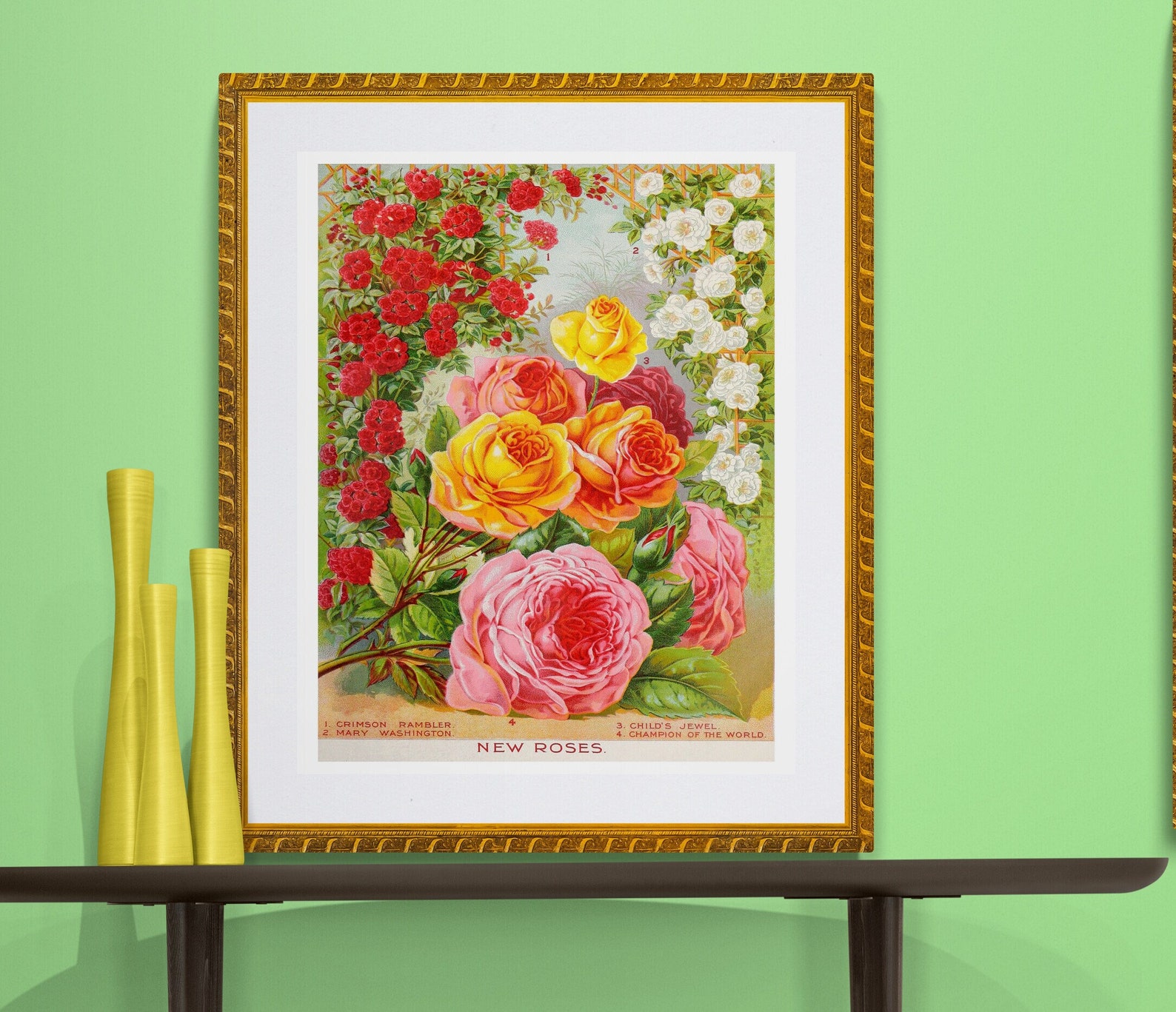 Red Pink Yellow Roses Antique Victorian Botanical Illustration - Etsy