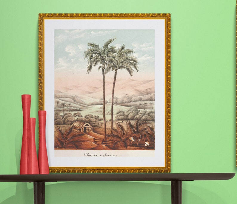 Tropical Phoenix Sylvestris Palm Tree Landscape antique - Etsy
