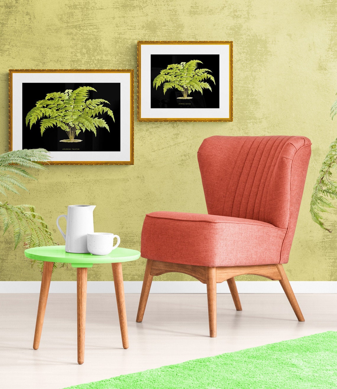 Tropical Hawaiian Fern Plant Asplenium Falcatum Antique French | Etsy