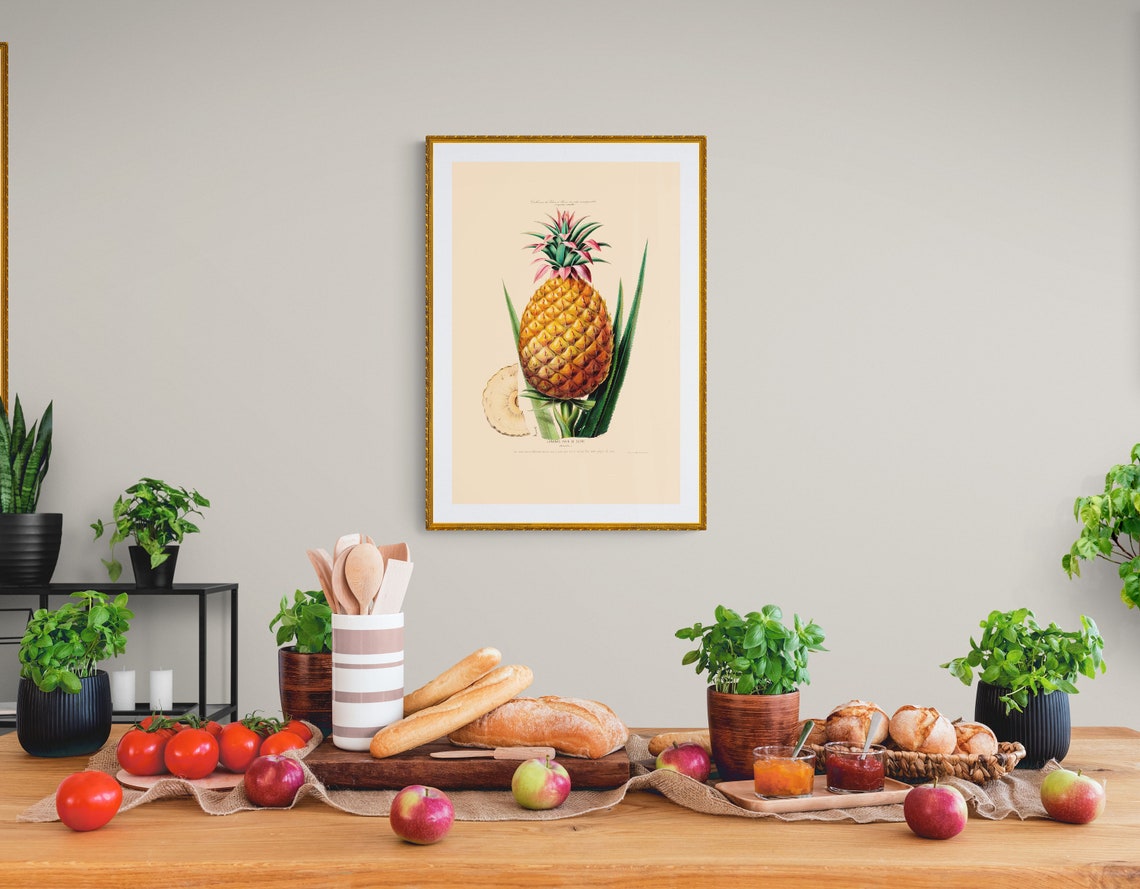 Antique French Botanical Print Ananas Pineapple Tropical Fruit - Etsy