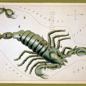 Antique Lithograph Scorpio Constellation DIGITAL DOWNLOAD - Etsy