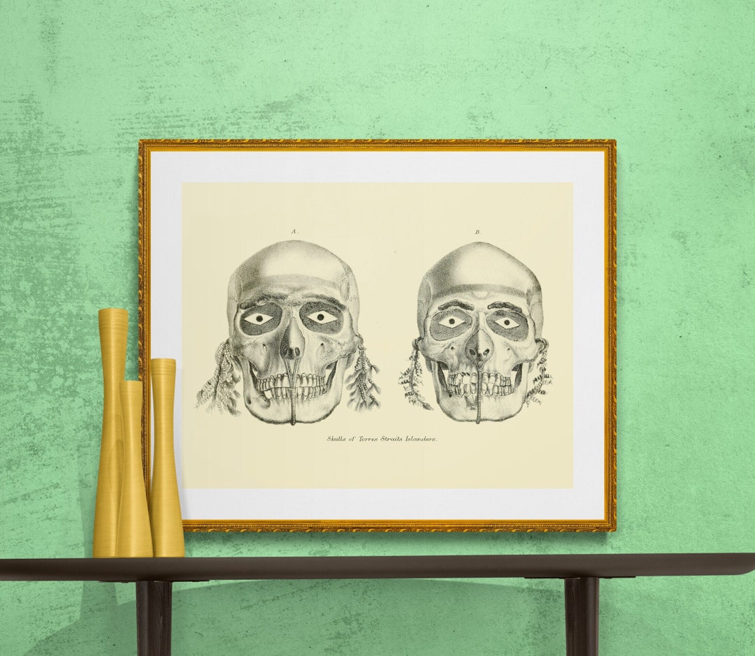 Skulls of Torres Strait Islanders With Nose and Ears Jewelry - Etsy