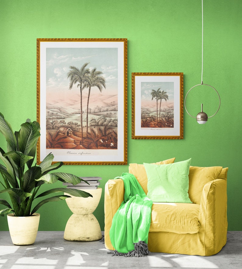 Tropical Phoenix Sylvestris Palm Tree Landscape antique - Etsy