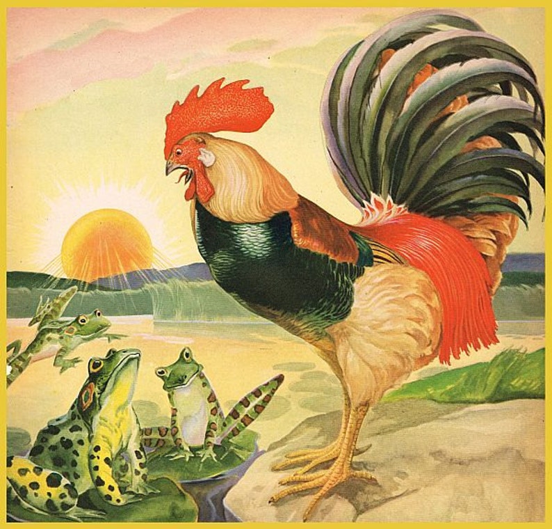Vintage Illustration Farm Animal Rooster and Frogs DIGITAL - Etsy