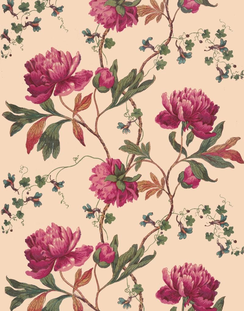 Antique French chinoiserie wallpaper pink peonies illustration | Etsy