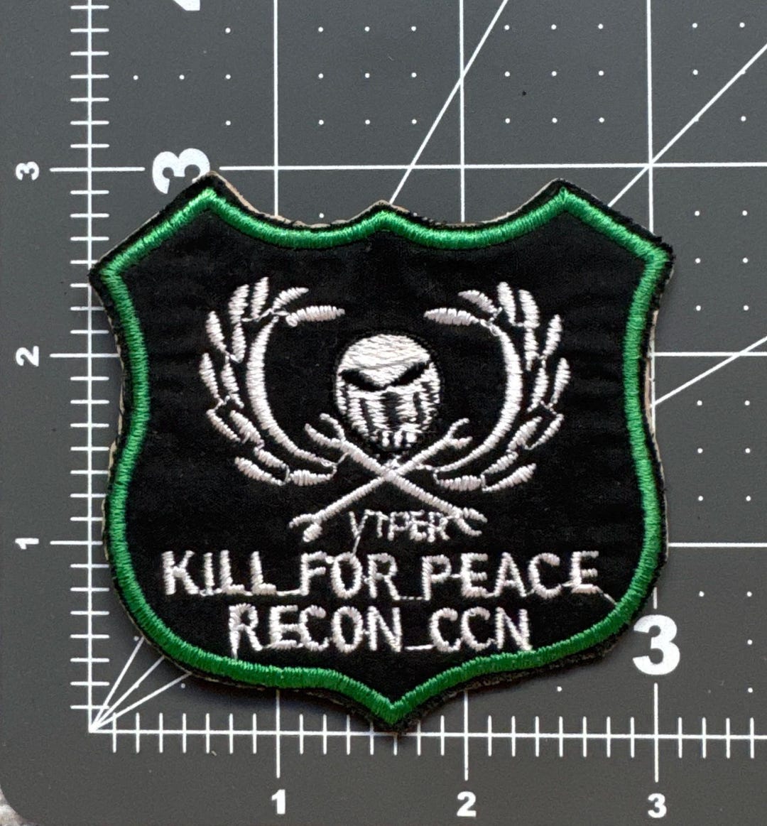 Recon Team Viper - We Kill for Peace - MACV-SOG - CCN - Green Berets ...