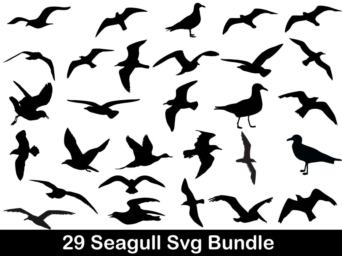 Seagull Silhouettes Svg Bundle - Commercial Use - Digital Cut File ...