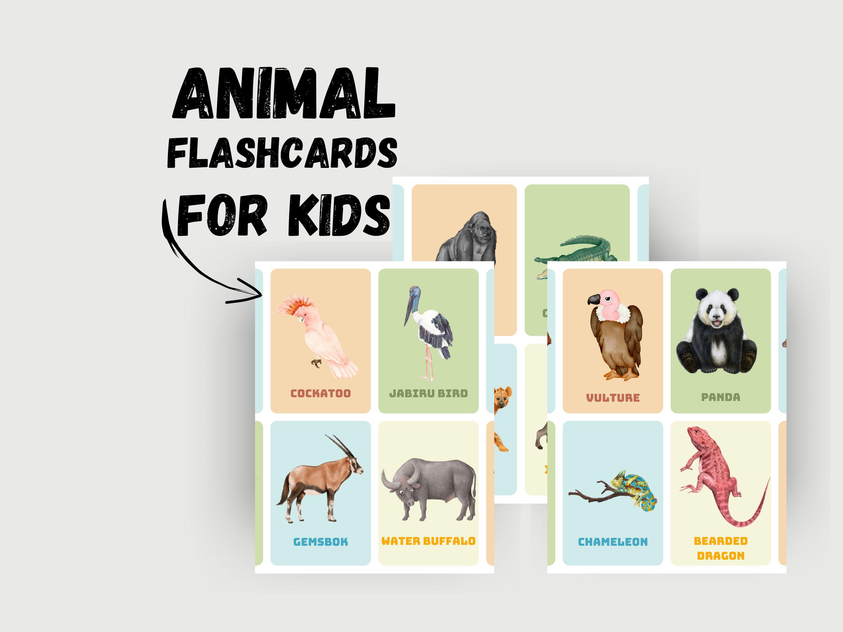 Printable Animal Flashcards, Kids Learning (PDF + PNG) - Etsy