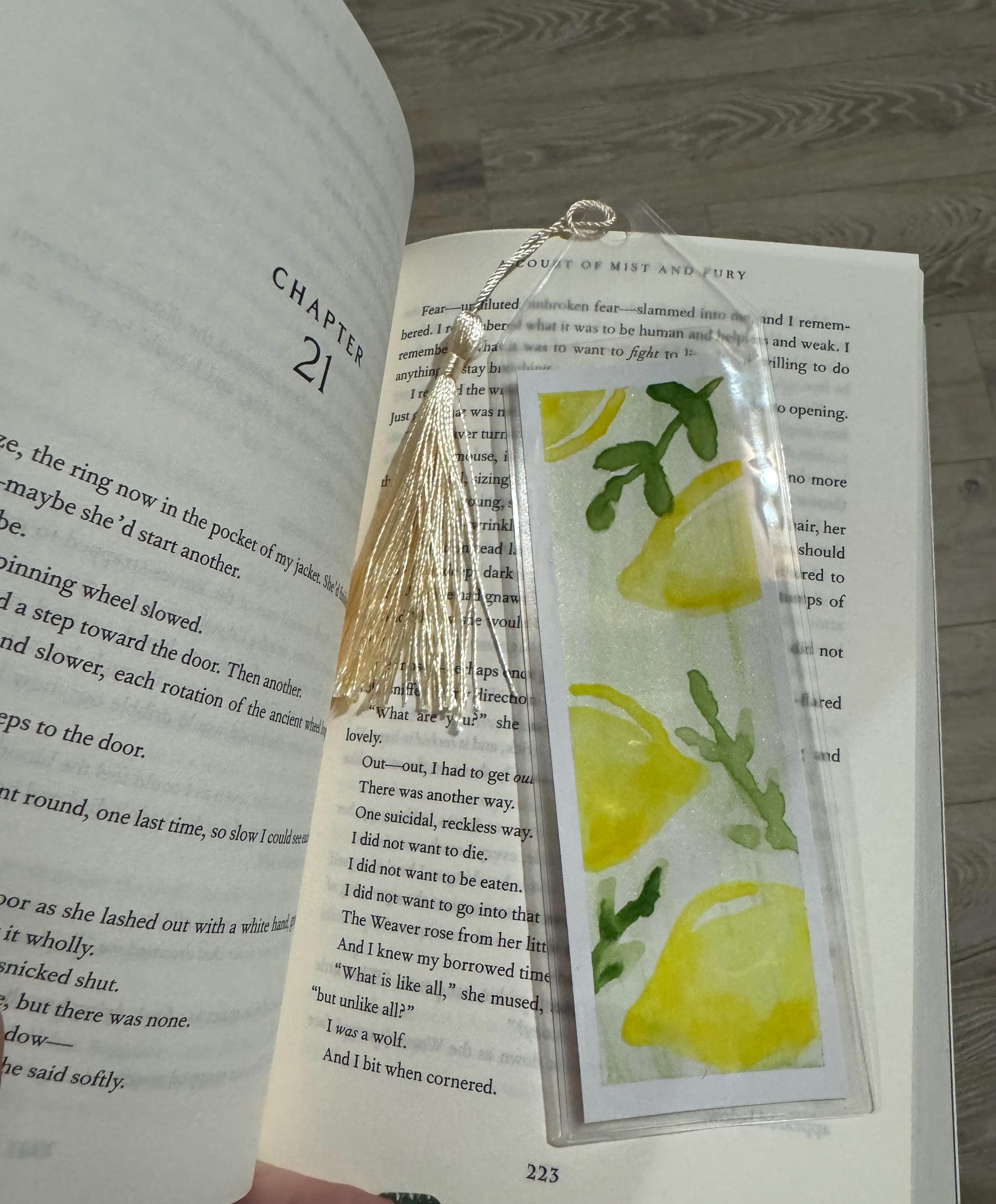 Colorful Fruit Hand Painted Bookmarks|fruit Bookmark|landscape|book ...