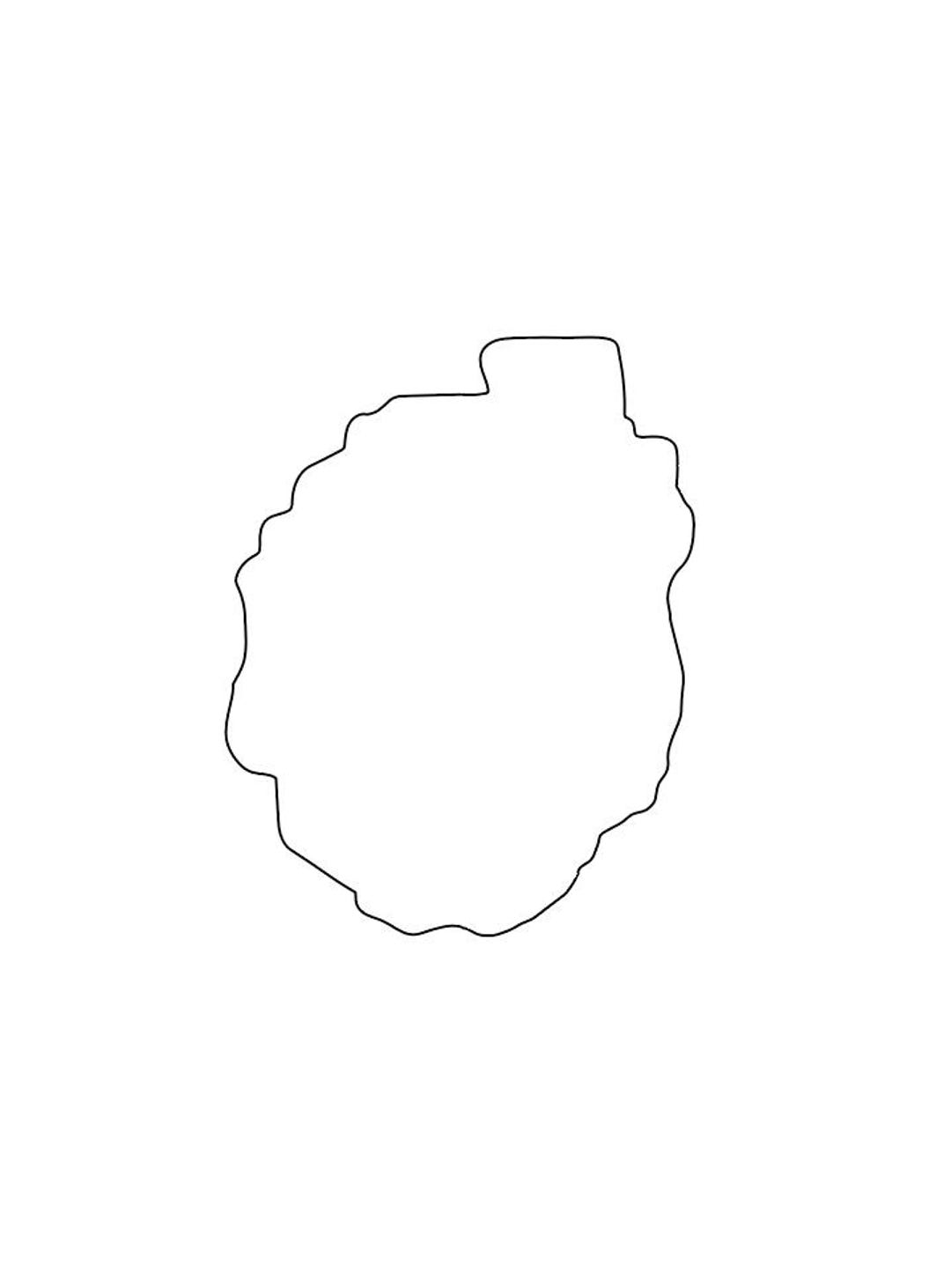 Svg Adirondack Park Outline ADK - Etsy