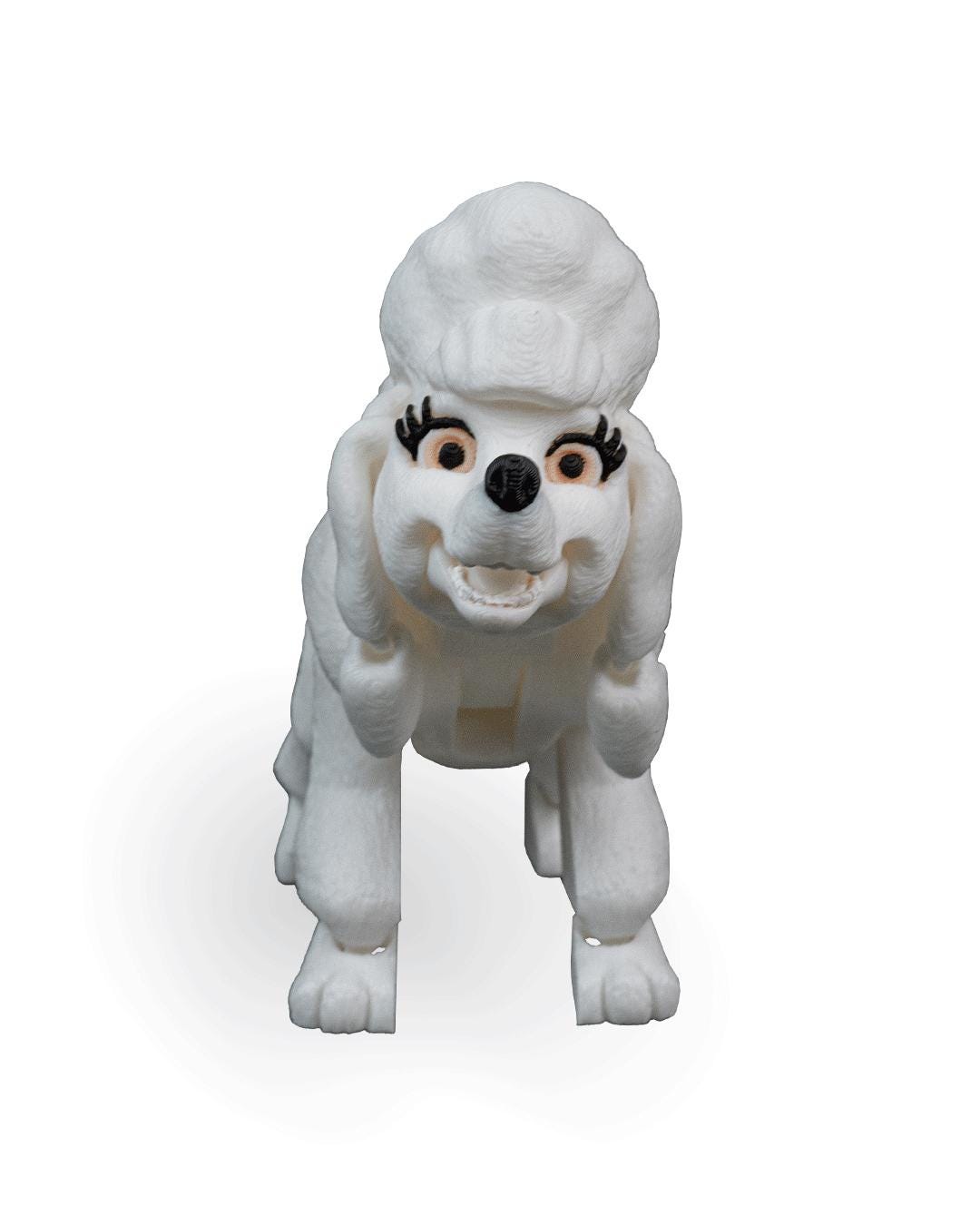 Lizzie the Poodle - A Waggle Tail Puppy, Playful Fidget Puppy, a Dog ...