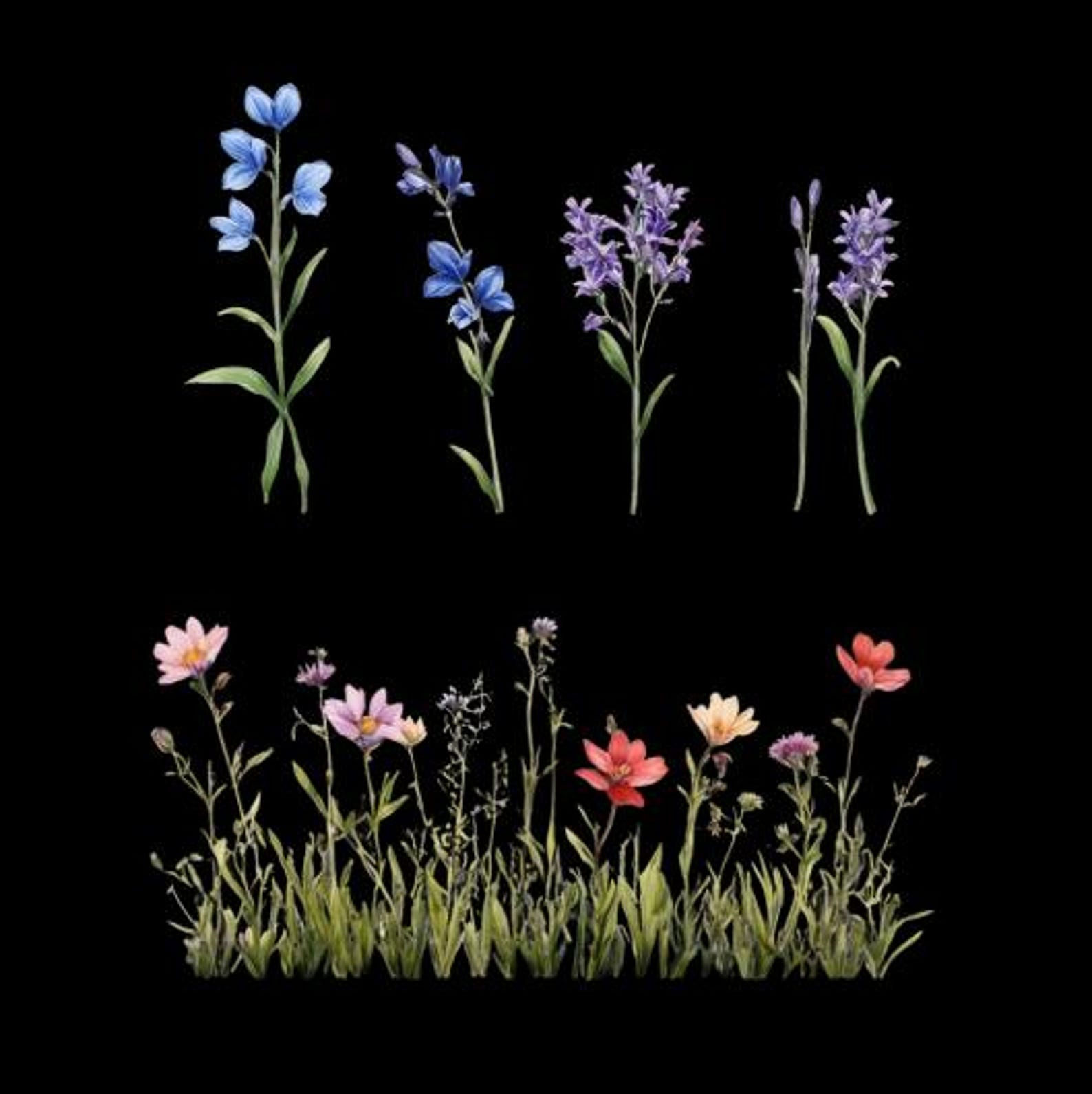 5 Wildflower Assortment Pngs - Etsy