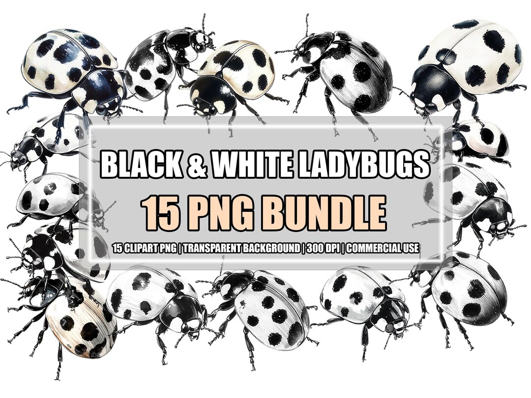 Ladybug Clip Art Black and White Bundle 15 Pngs Transparent Background ...