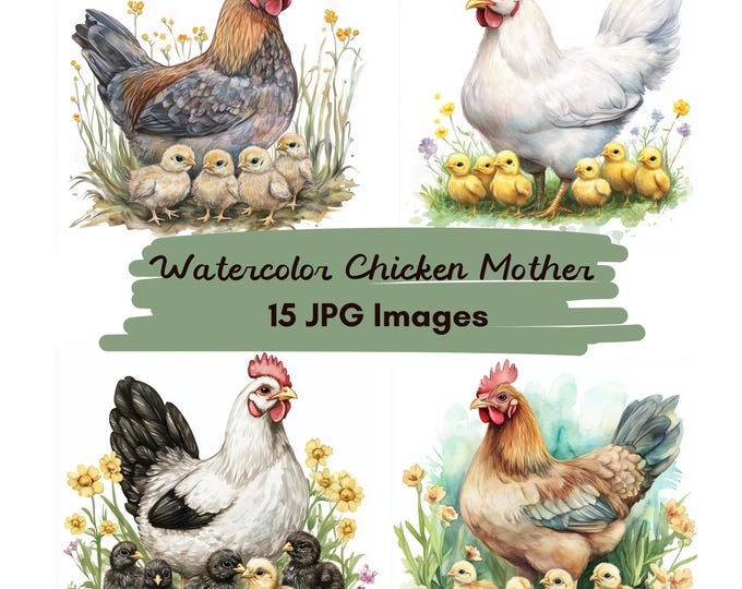 20 Chicken Family Clipart | Mother Hen With Chicks Design | Printable ...