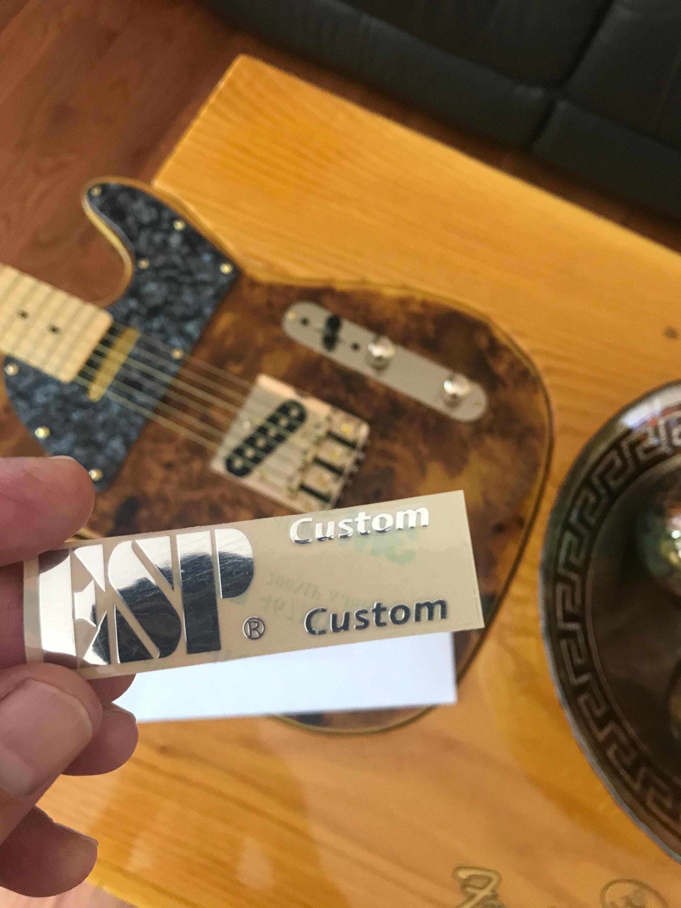 ESP Guitar Decal 3d Laser Cut Metal Headstock Restoration Sticker M31 ...
