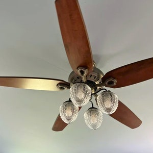 Ceiling Fan Light Kit of Acorn Antique Glass Lighting - Chandelier Lamp ...