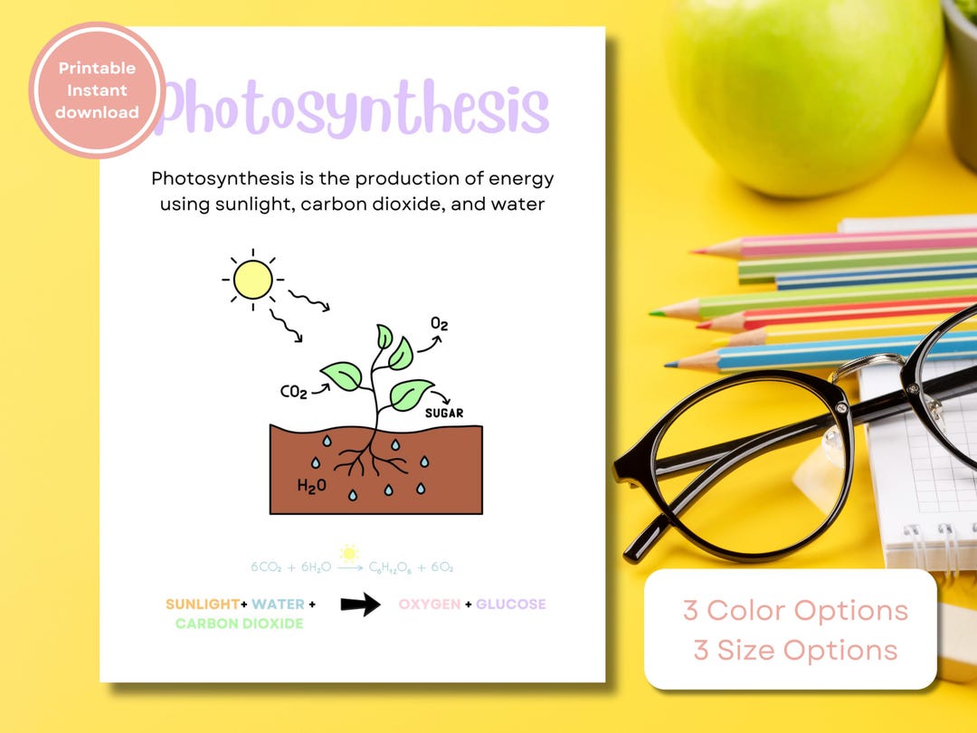 Printable Photosynthesis Anchor Chart, Science Classroom Poster ...